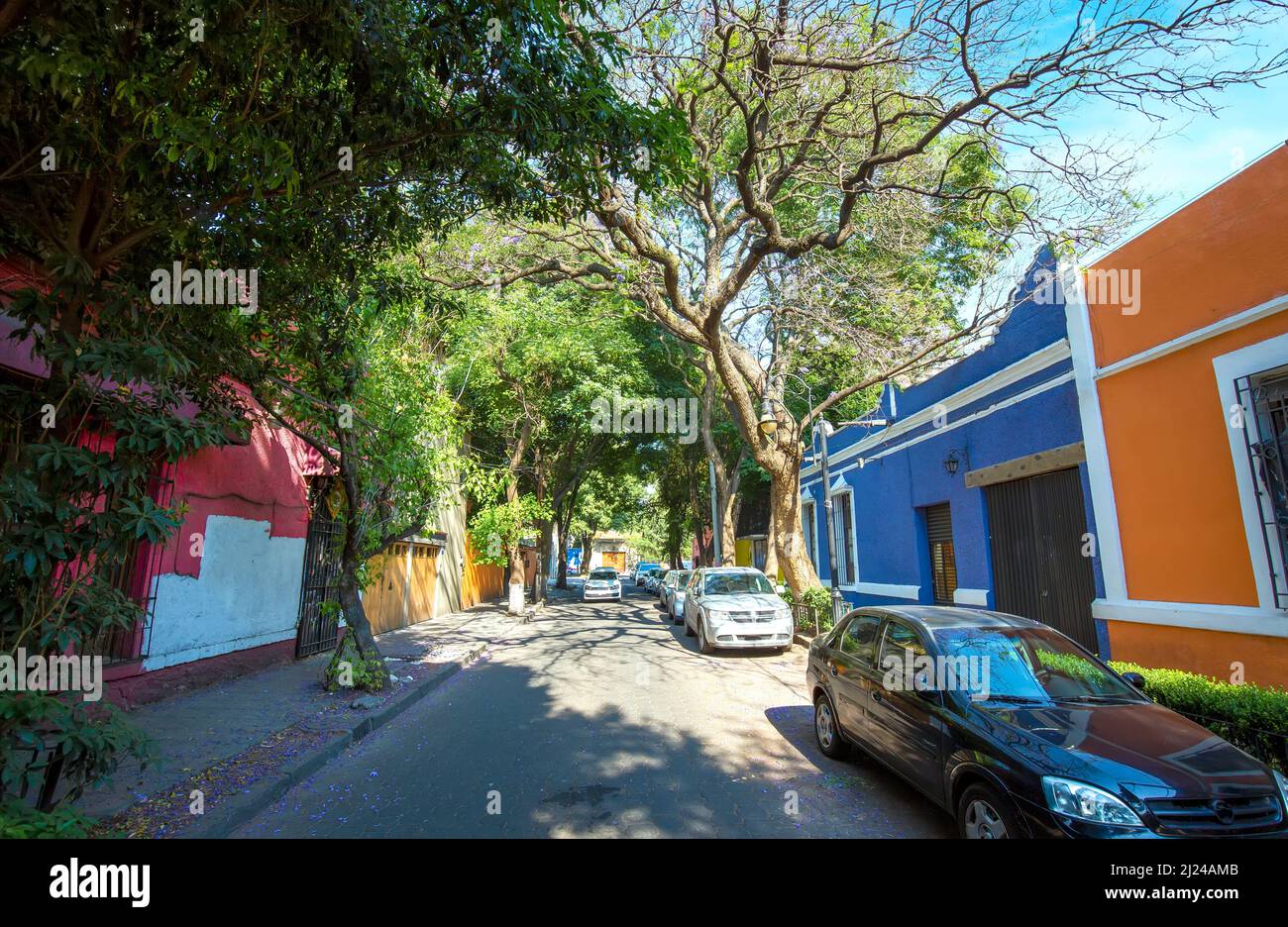 Mexico, Beautiful colonial and colorful Coyoacan Streets near Mexico ...