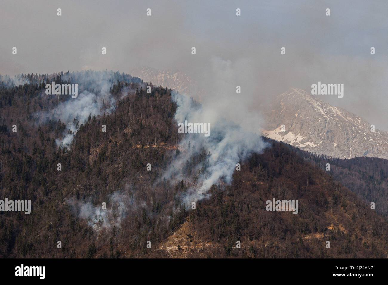 A large wildfire rages in the hills above Preddvor. The cause of one of ...