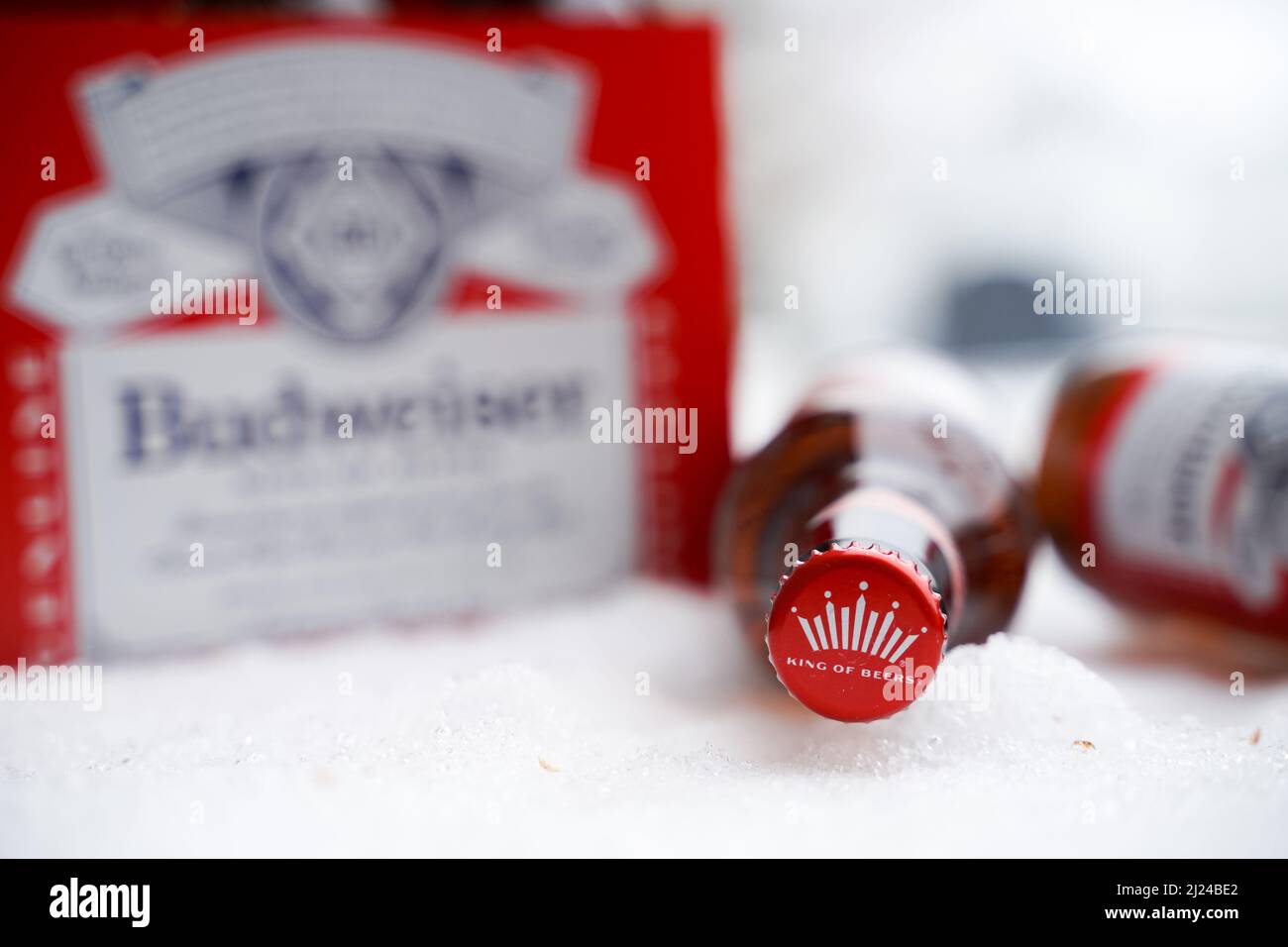 Budweiser red light beer glass hi-res stock photography and images - Alamy
