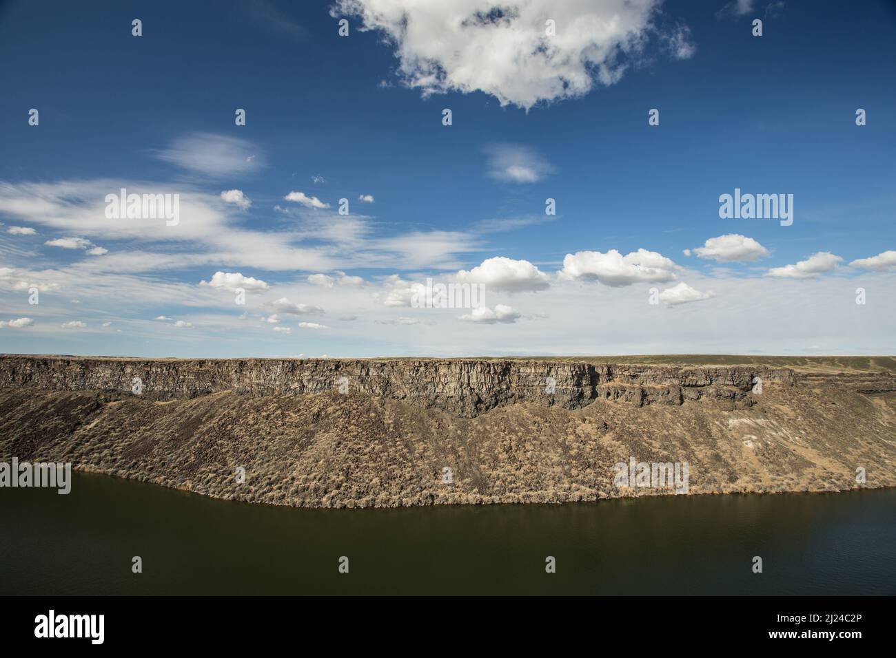 Snake about to strike hi-res stock photography and images - Alamy