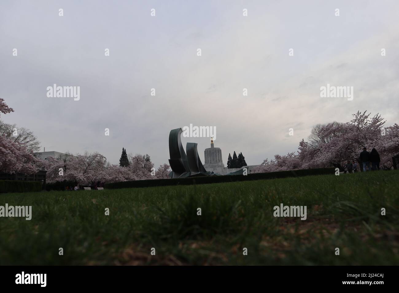 Cherry bloom with fountain hi-res stock photography and images - Alamy