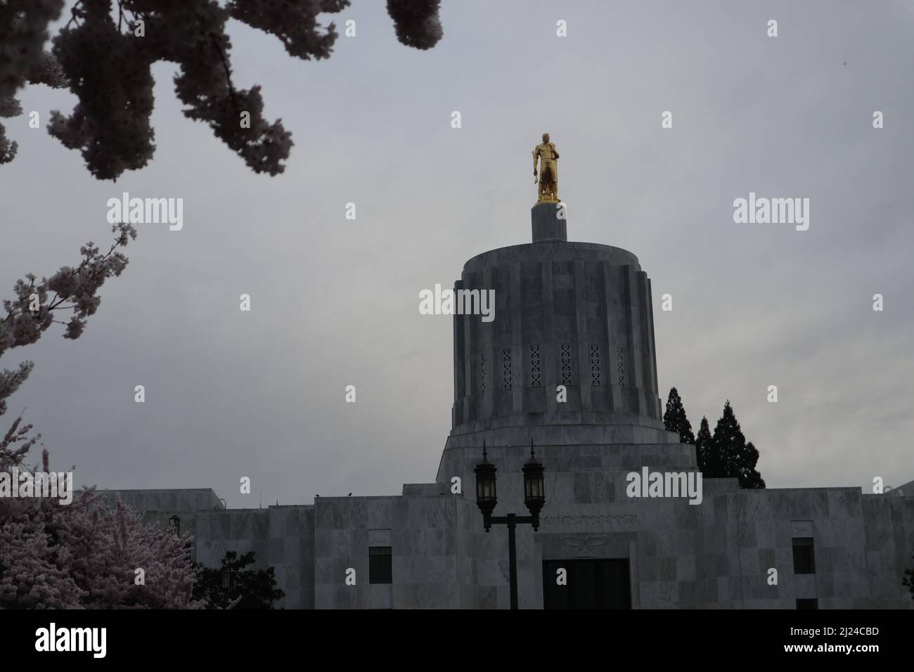 Oregon State capitol with cherry blossoms Stock Photo - Alamy