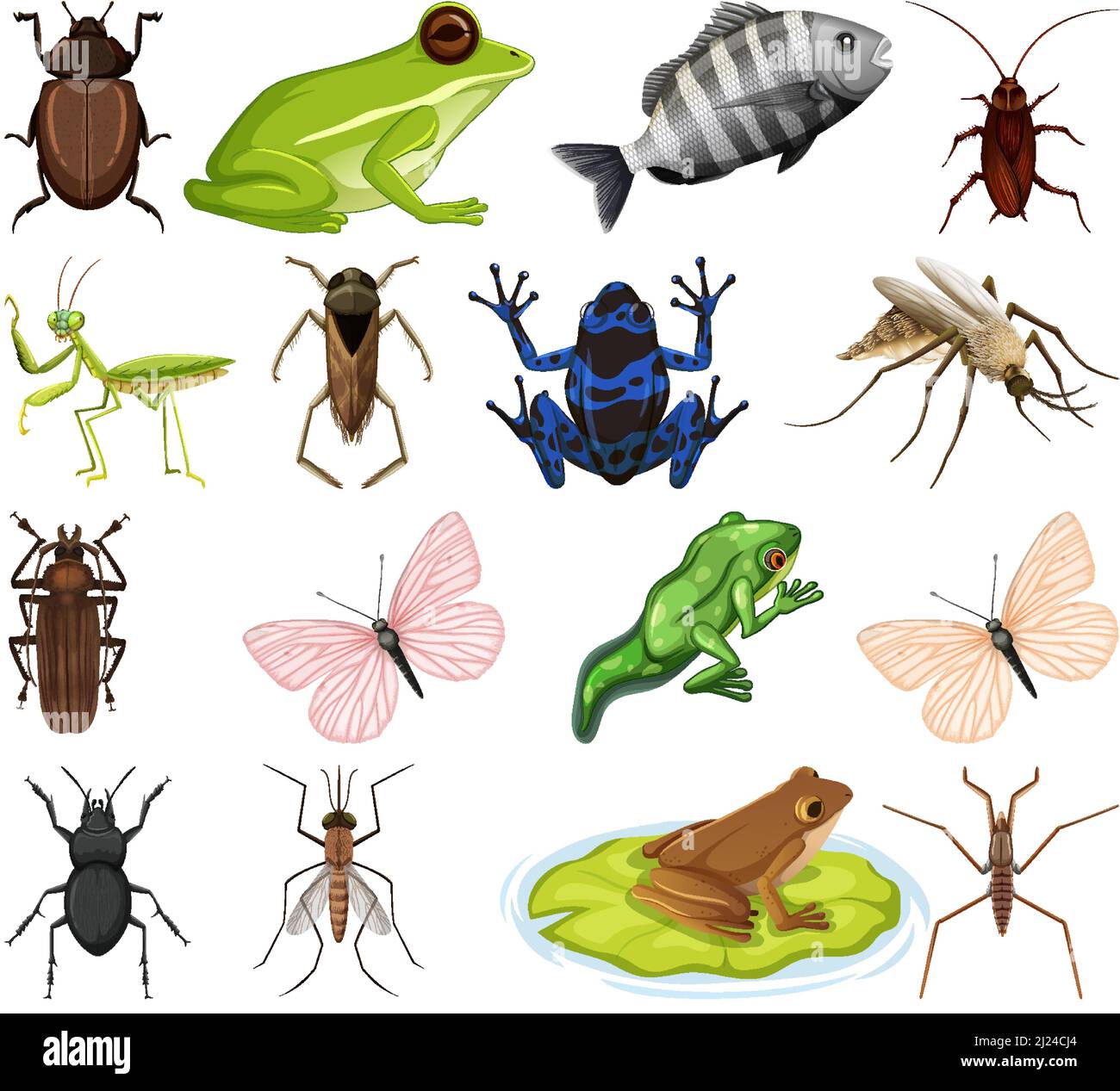 Different kinds of insects and animals on white background illustration ...