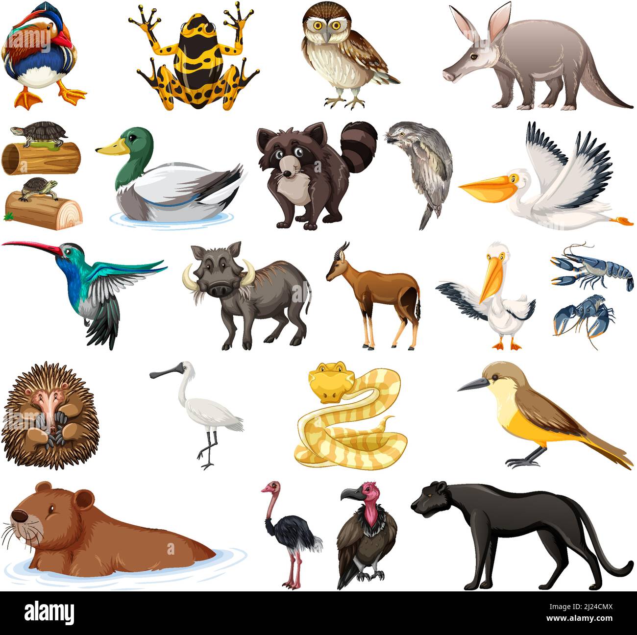 Owl legs Stock Vector Images - Alamy