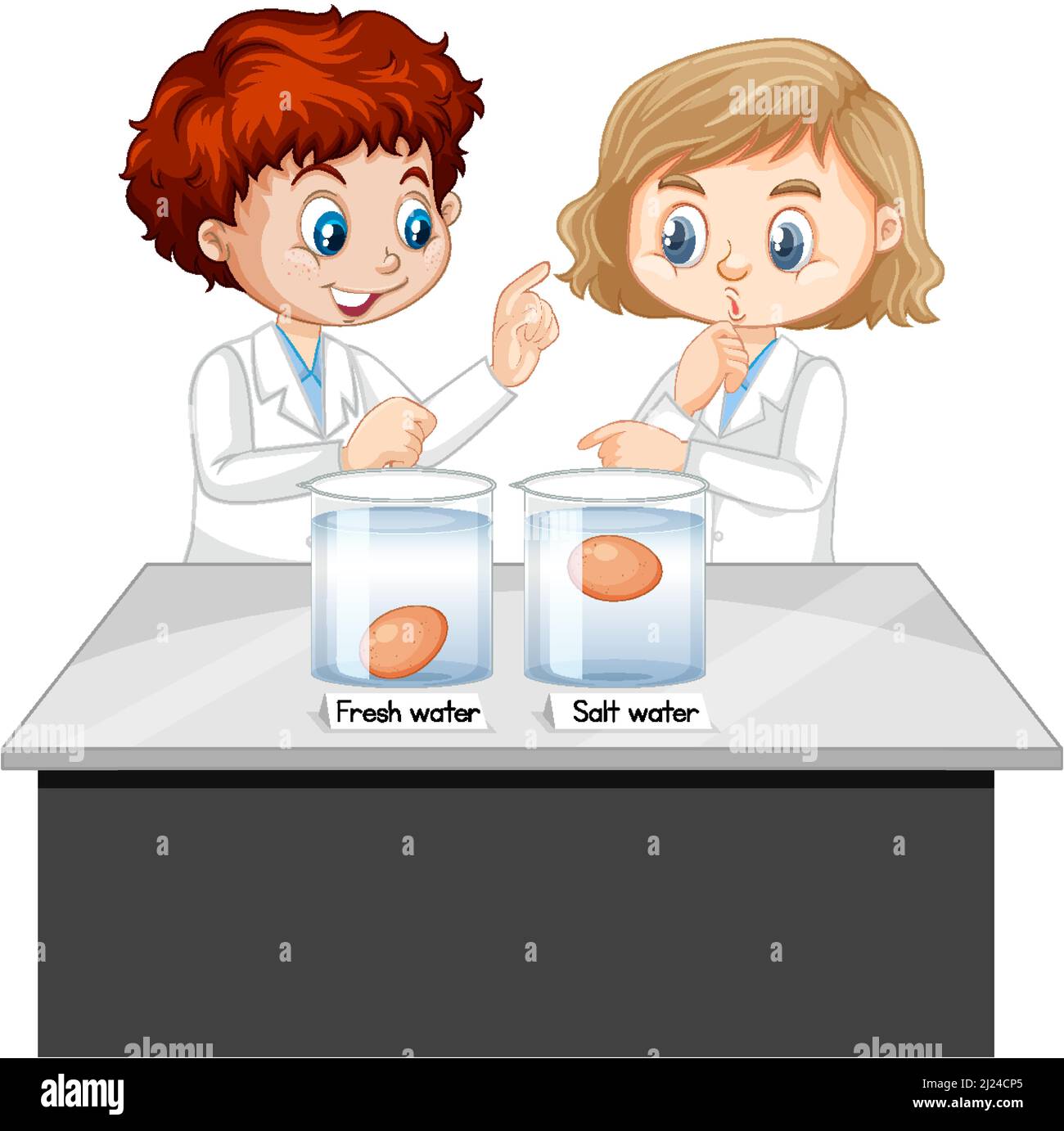 Science Experiment with test eggs for freshness illustration Stock ...