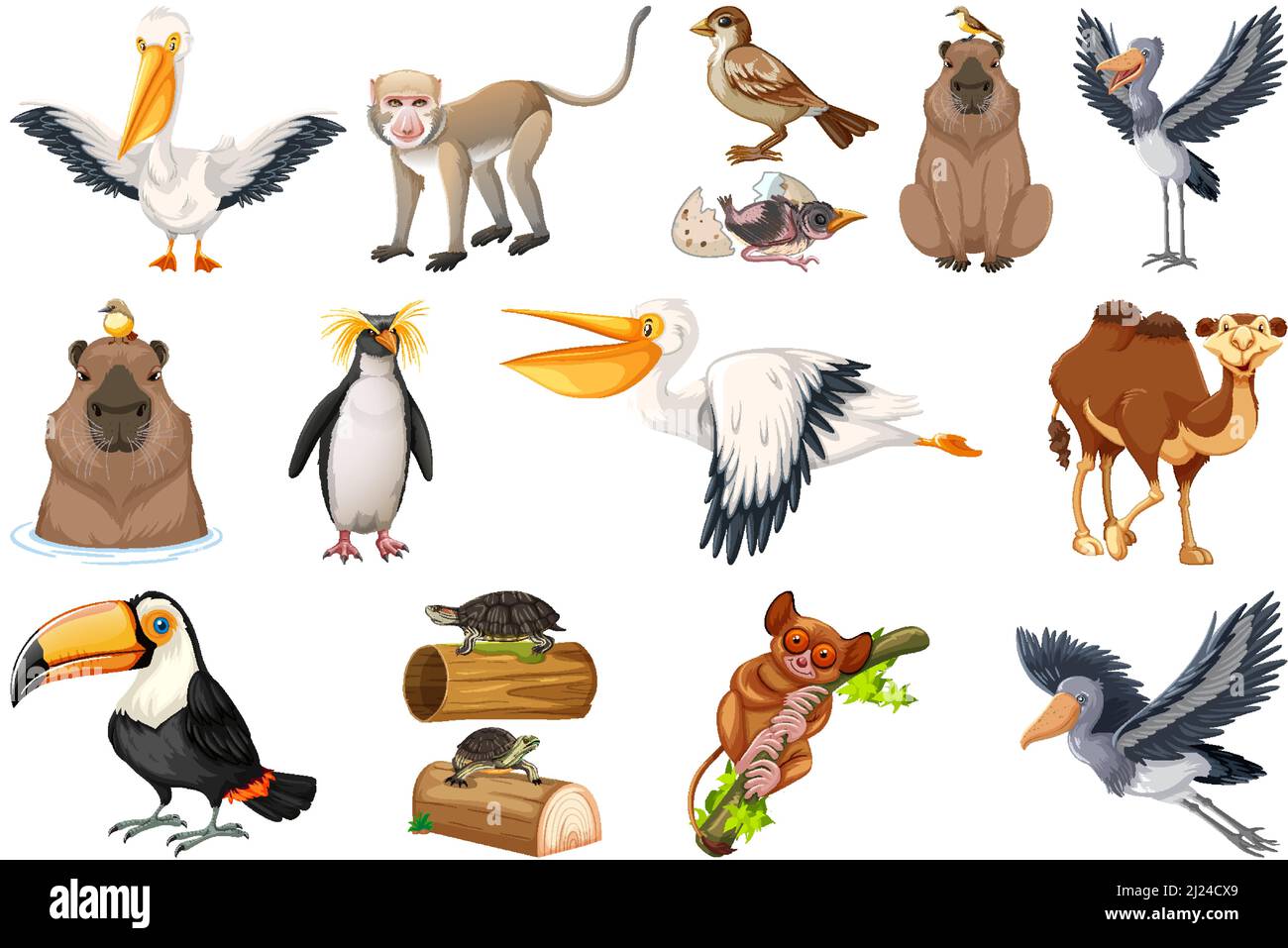 Different kinds of animals collection illustration Stock Vector Image ...