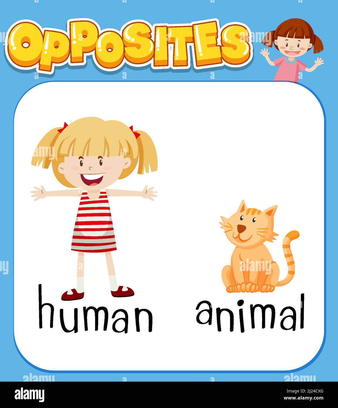 Opposite words for human and animal illustration Stock Vector Image ...