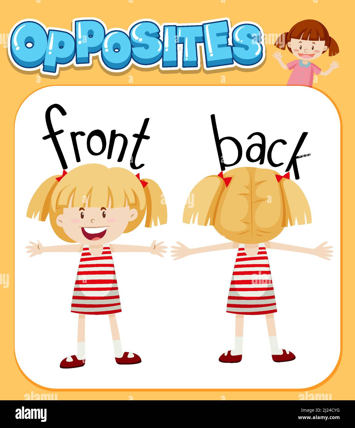 Opposite words for front and back illustration Stock Vector Image & Art ...