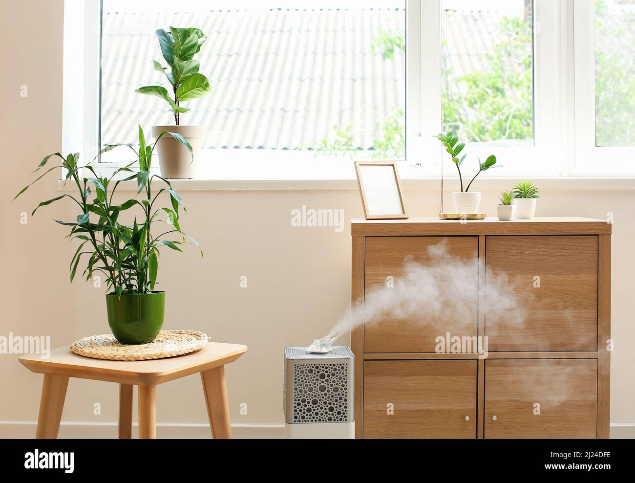 Modern humidifier in living room Stock Photo - Alamy