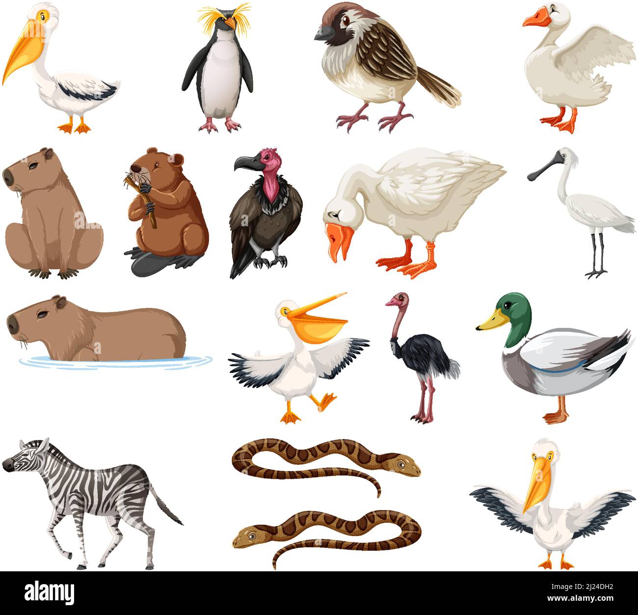 Different kinds of animals collection illustration Stock Vector Image ...