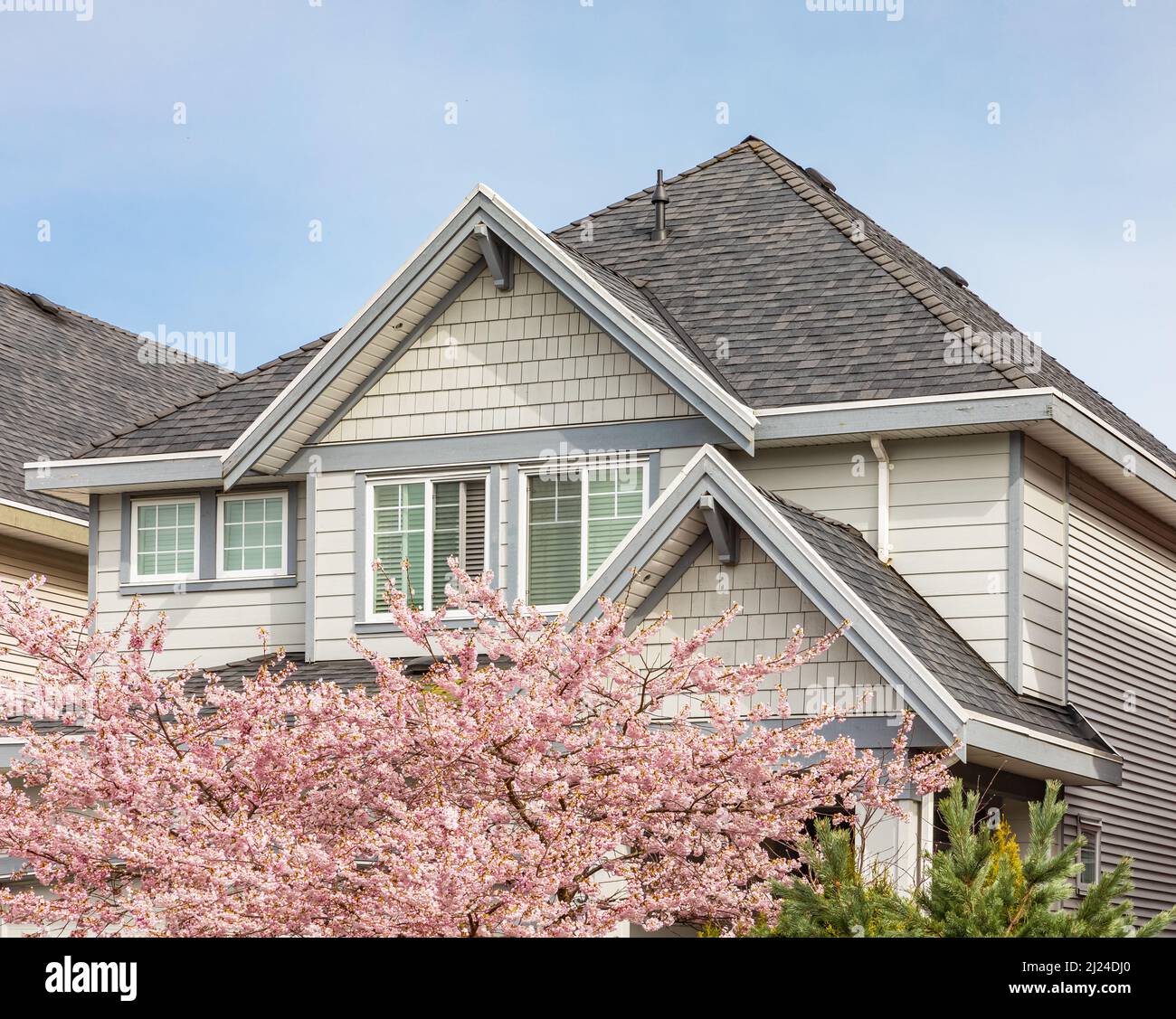 Neighborhood modern houses with spring flowers in BC, Canada. Canadian ...