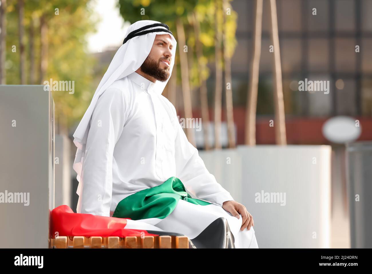 Handsome Muslim man with UAE flag sitting on bench outdoors Stock Photo ...