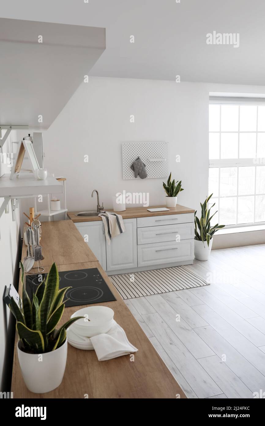 Modern counters and shelves with kitchenware in light room interior ...