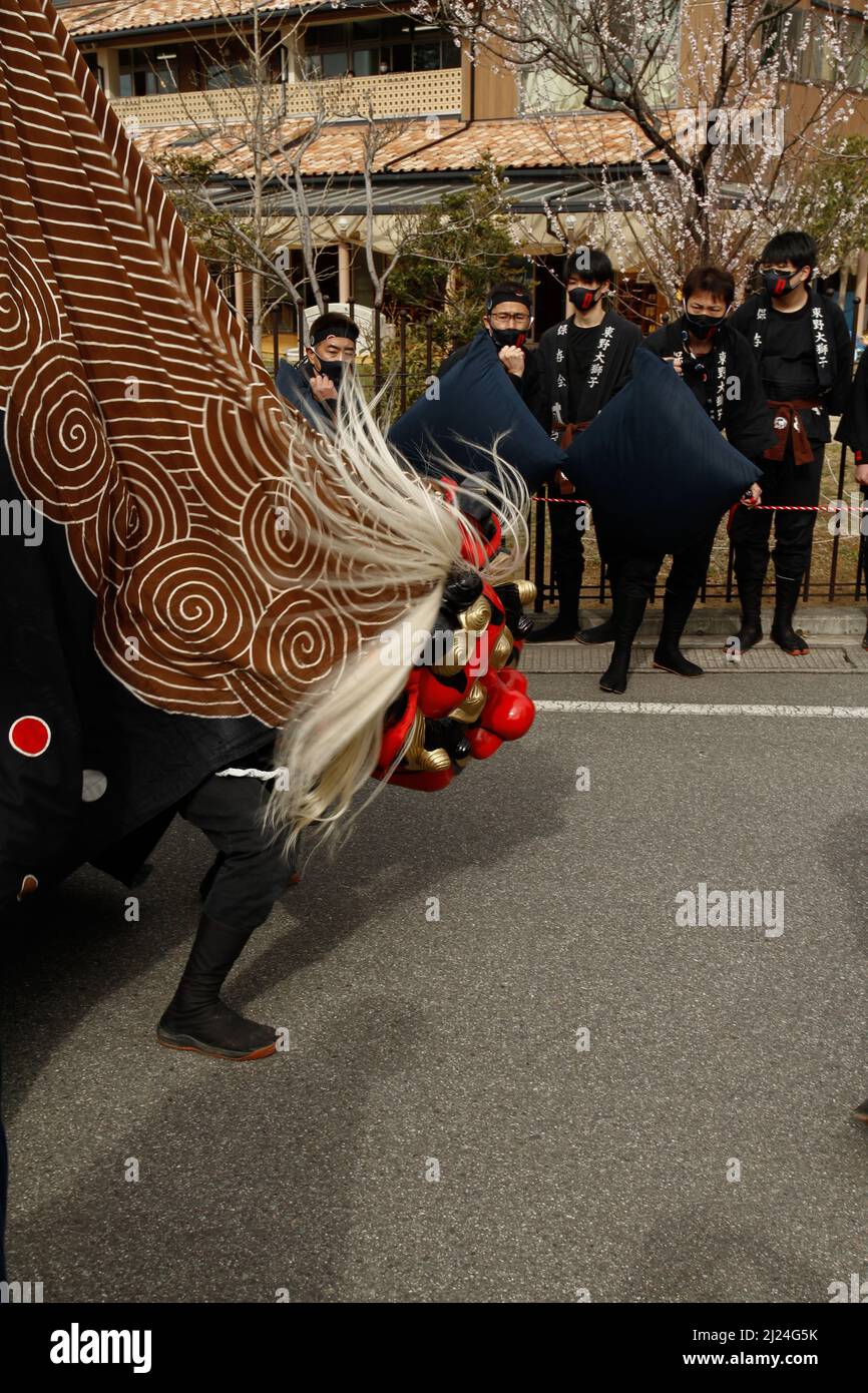 iida, nagano, japan, 2022/24/03 , Lion Dance on a Float. The ritual ...