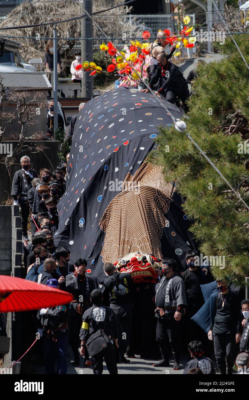 iida, nagano, japan, 2022/24/03 , Lion Dance on a Float. The ritual ...