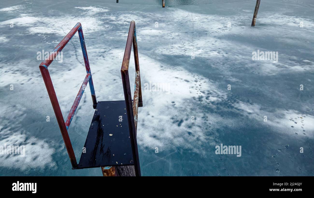 Wood duck tracks are scattered around this crude diving platform on a ...