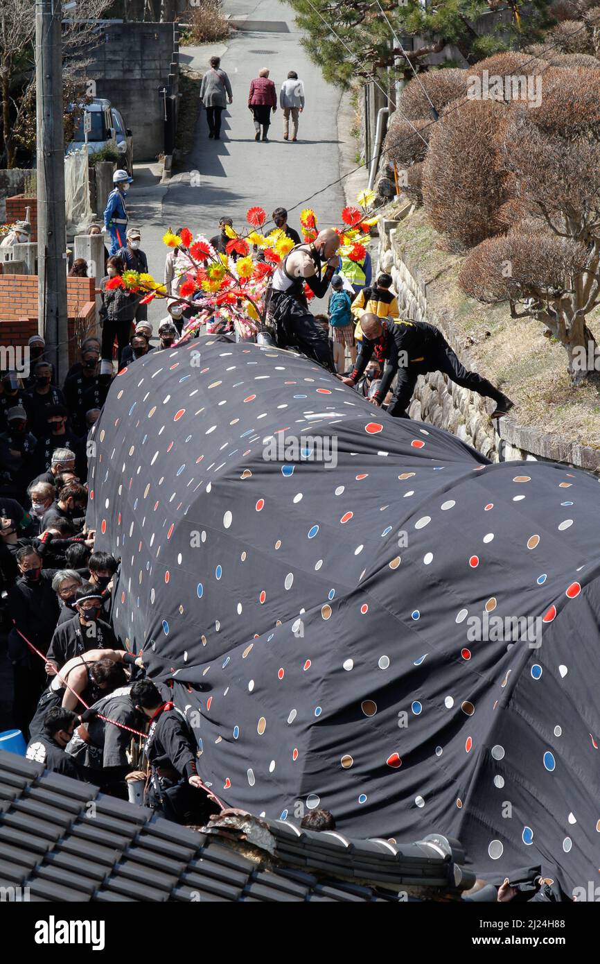 iida, nagano, japan, 2022/24/03 , The lion called shisha got stuck on ...