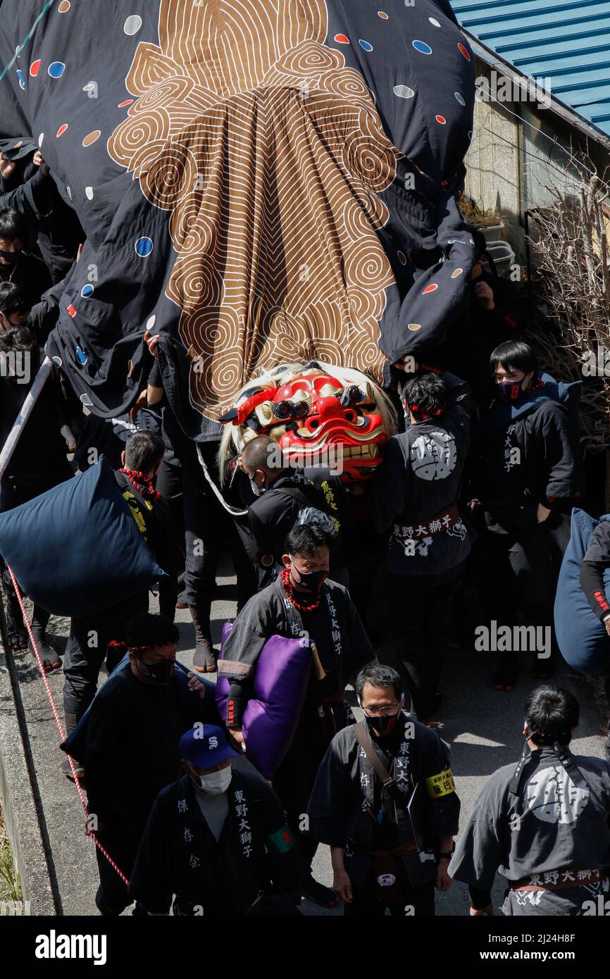iida, nagano, japan, 2022/24/03 , The lion called shisha got stuck on ...