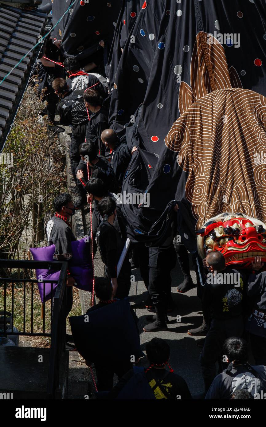 iida, nagano, japan, 2022/24/03 , The lion called shisha got stuck on ...