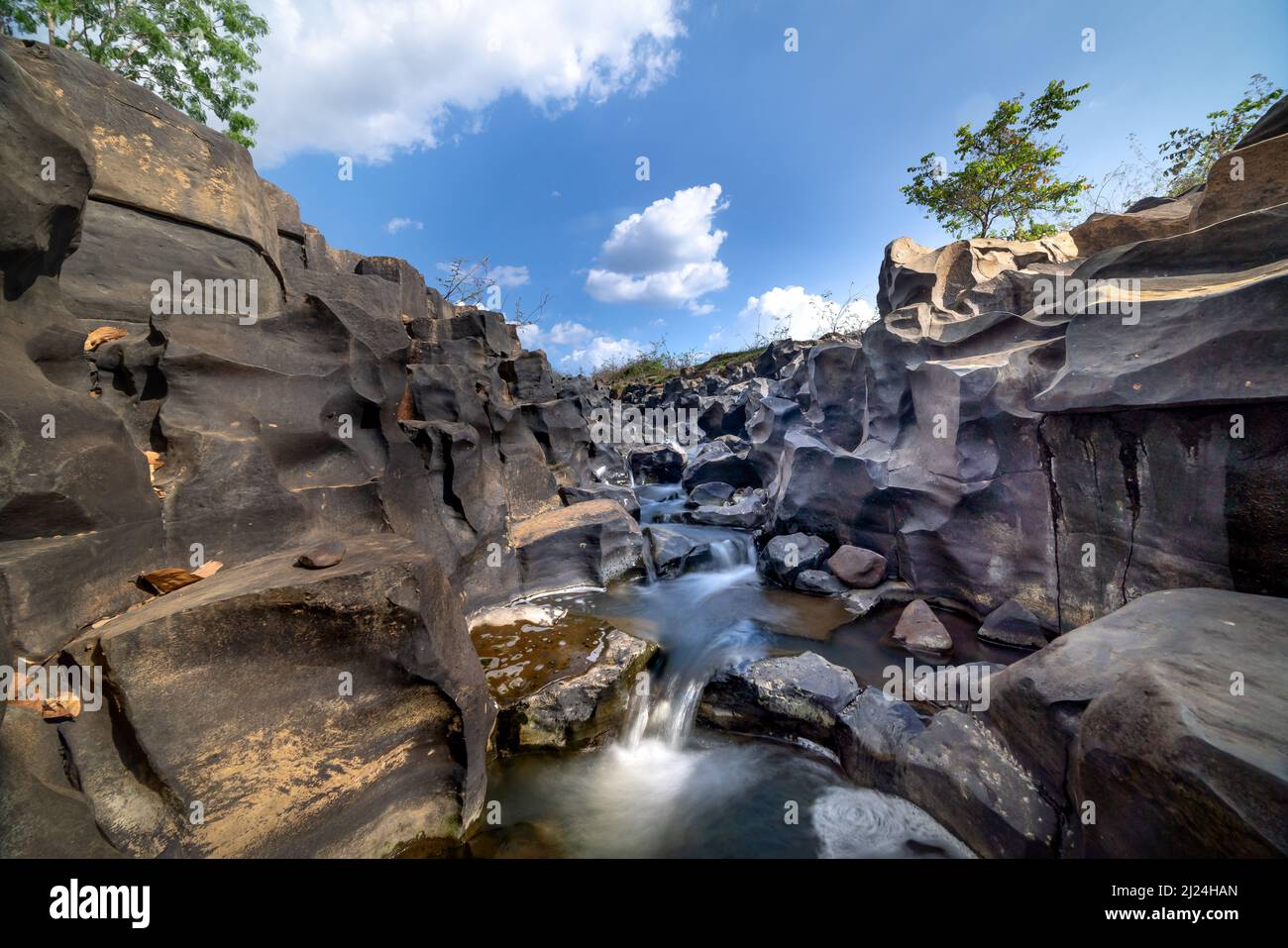 100 years of wonder hi-res stock photography and images - Alamy