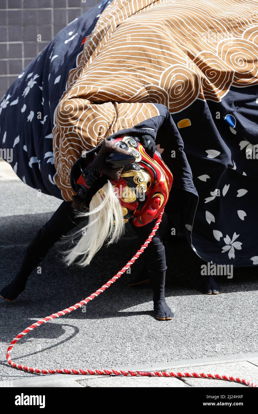iida, nagano, japan, 2022/27/03 , Lion Dance on a Float. The ritual ...
