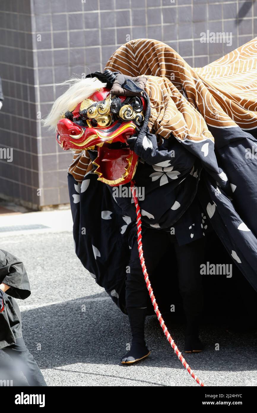 iida, nagano, japan, 2022/27/03 , Lion Dance on a Float. The ritual ...