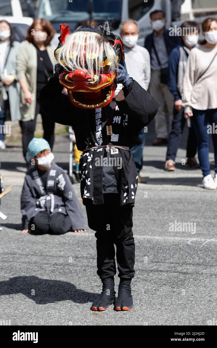 iida, nagano, japan, 2022/27/03 , Lion Dance on a Float. The ritual ...