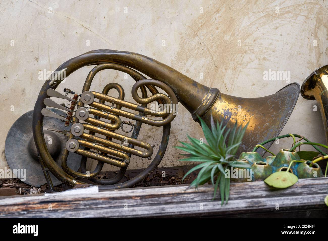 Gold bard hi-res stock photography and images - Alamy