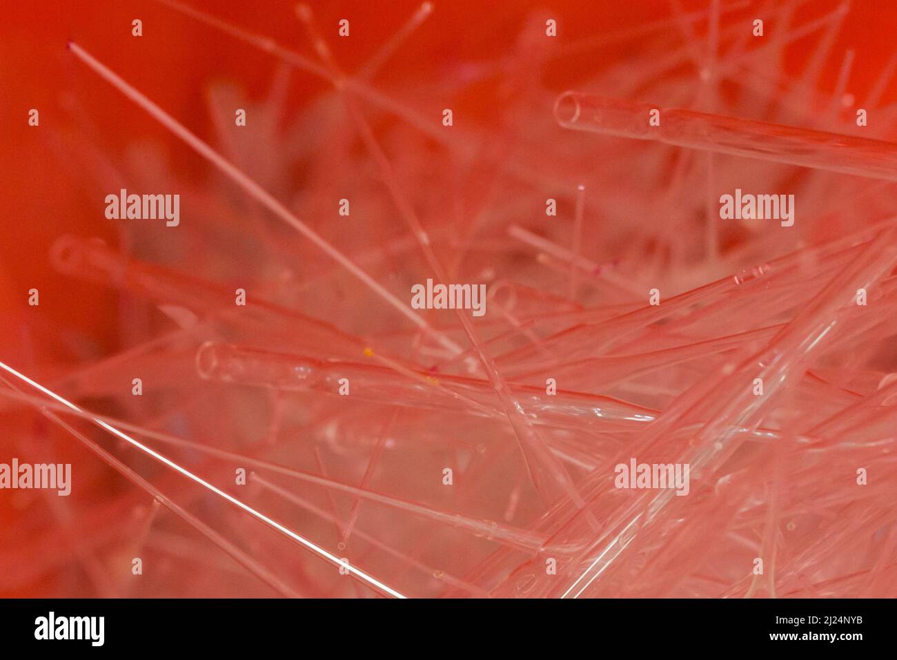 Pipette tips bin hi-res stock photography and images - Alamy