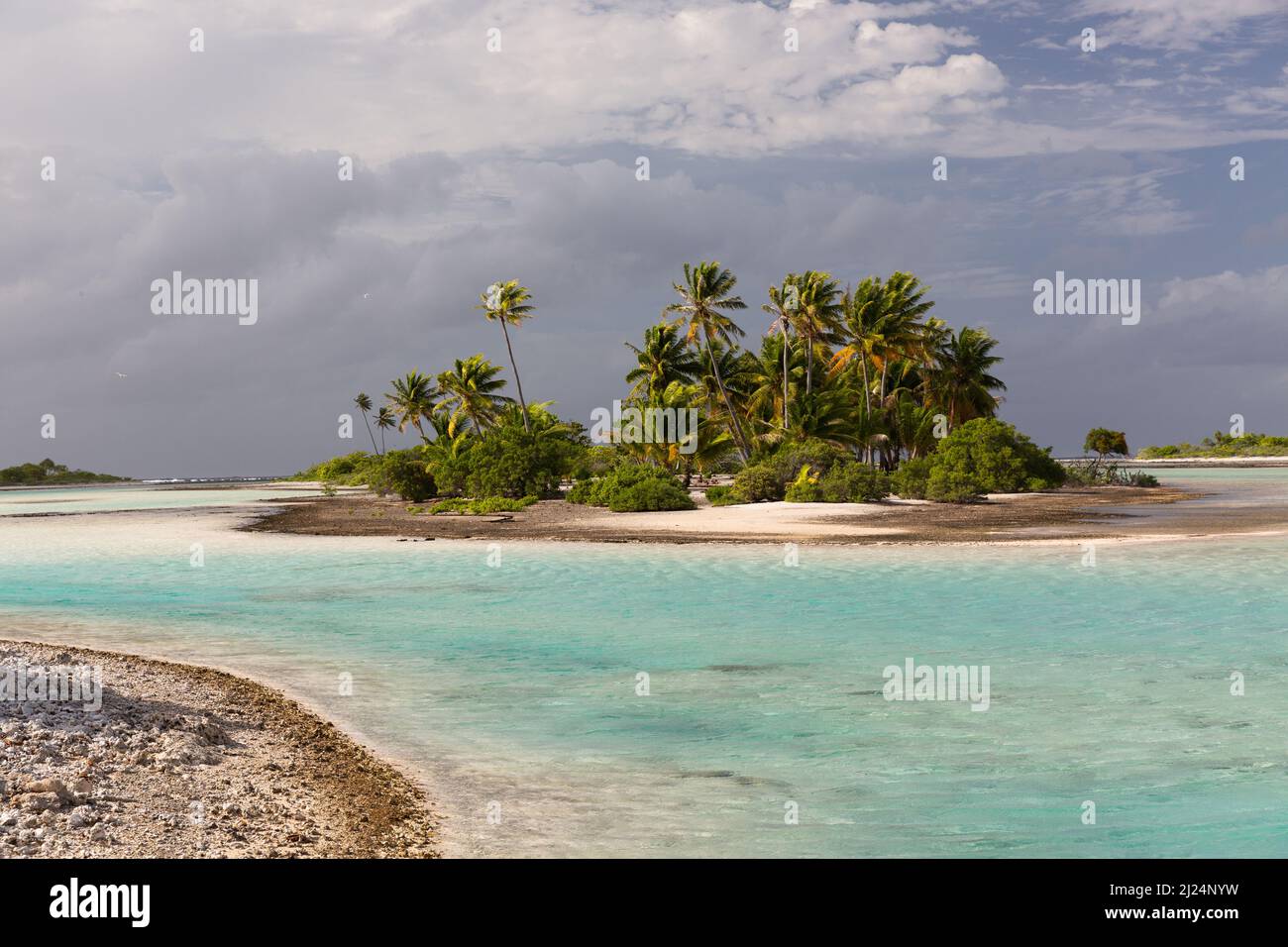 palm lined atolls in Tuamotu archipelago Stock Photo - Alamy