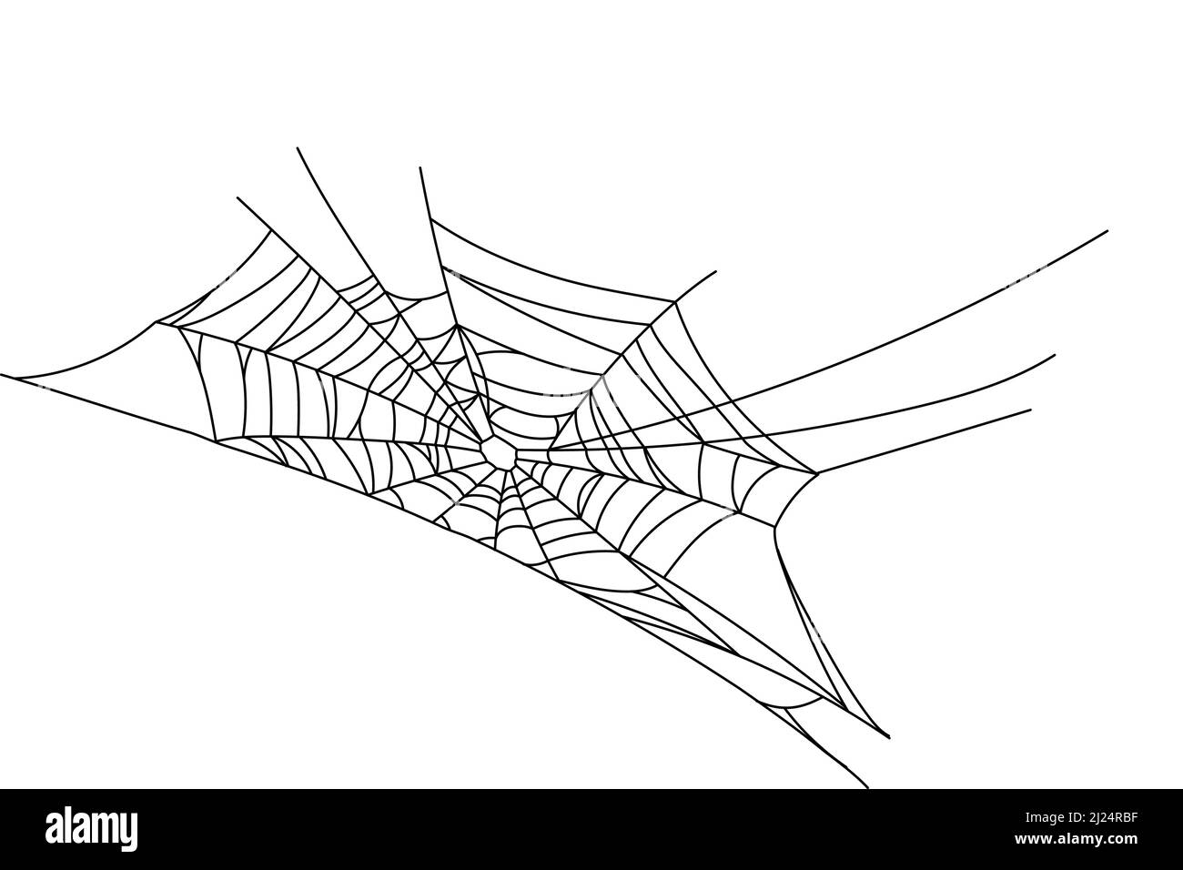 Spider web parts isolated on white background. Scary cobweb outline ...