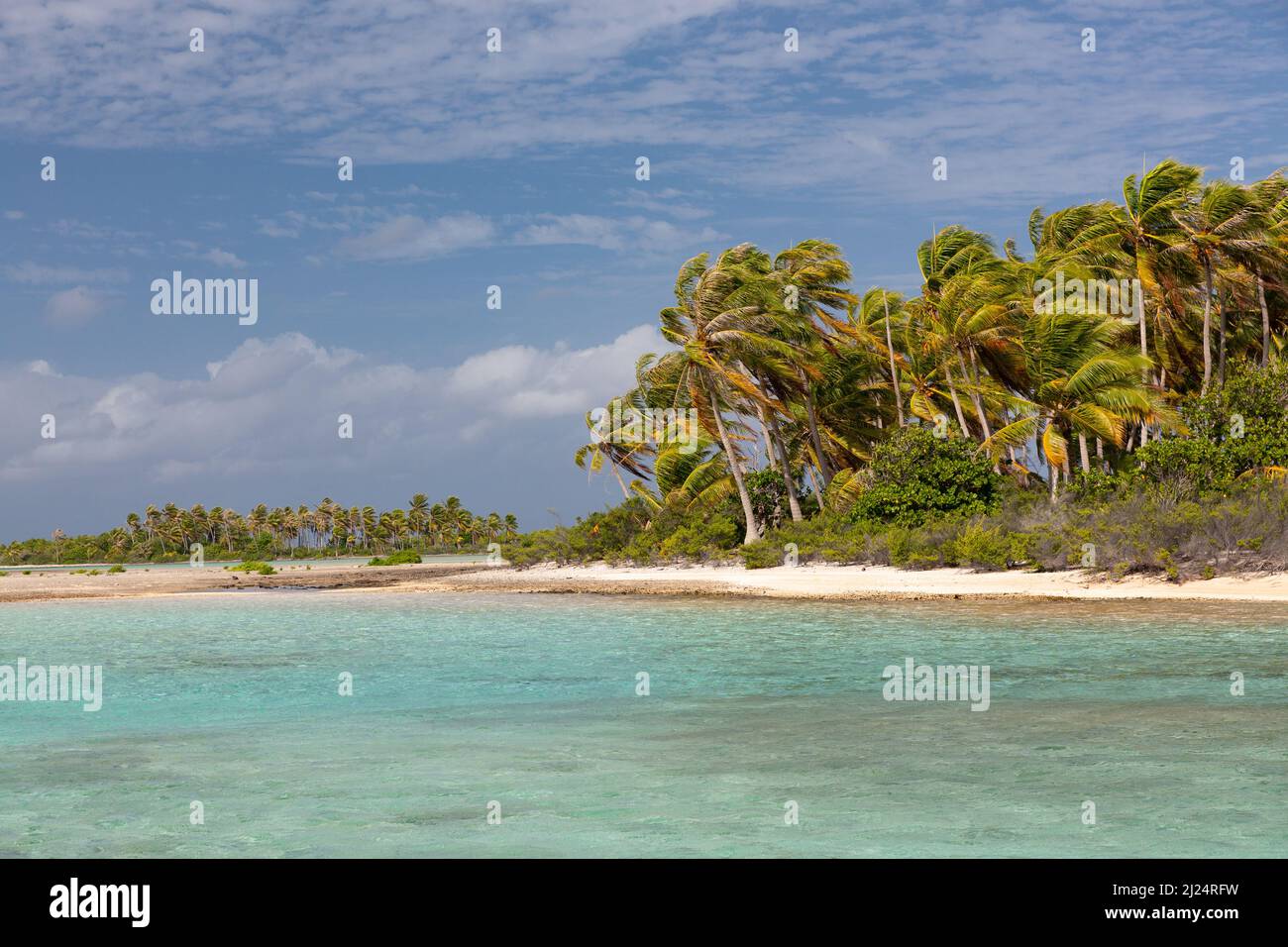 palm lined atolls in Tuamotu archipelago Stock Photo - Alamy