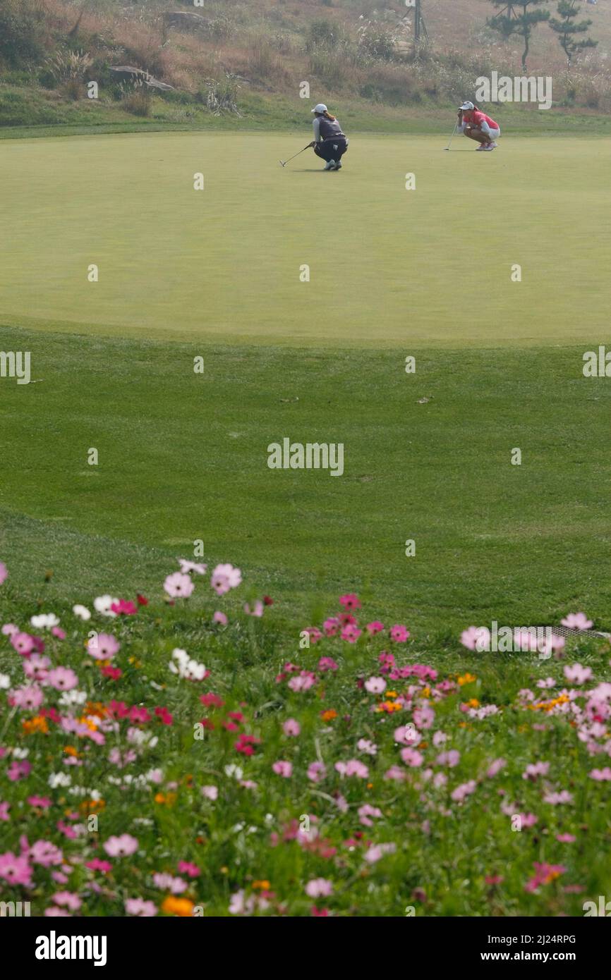 Putt line hi-res stock photography and images - Alamy