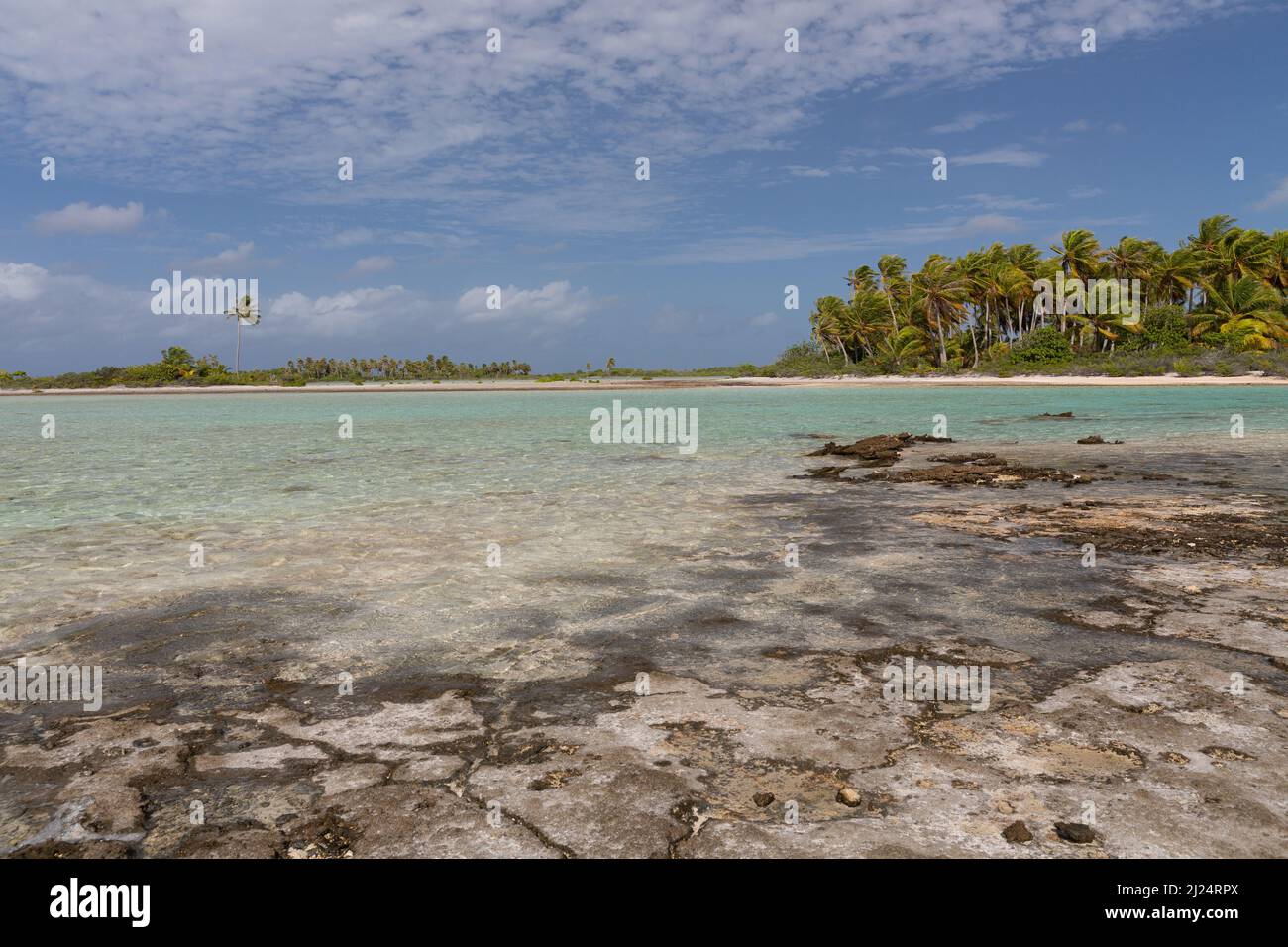 palm lined atolls in Tuamotu archipelago Stock Photo - Alamy