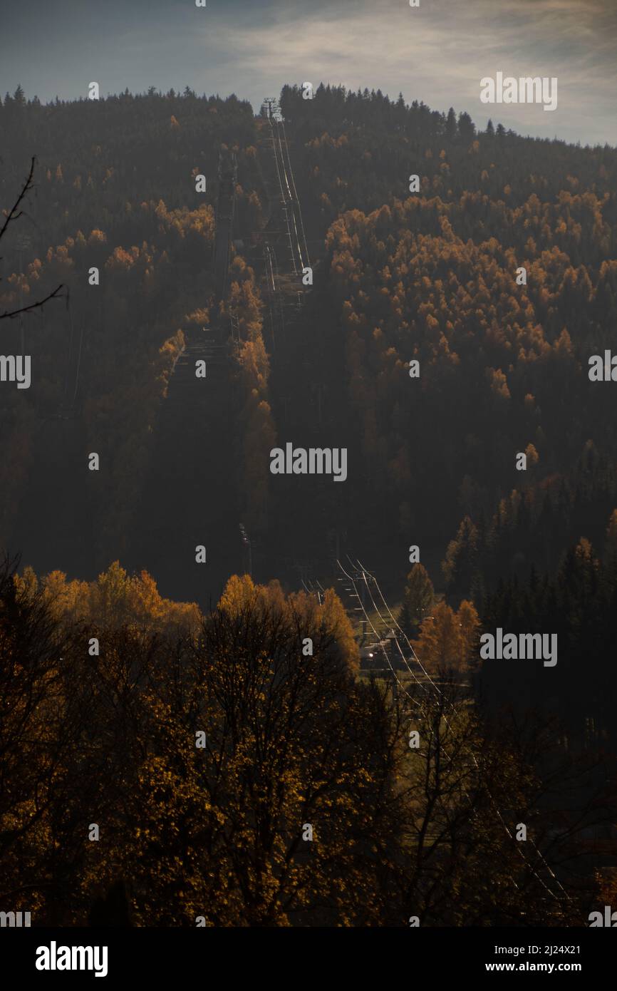 A vertical shot of dense forest with springboard between trees in Czech ...