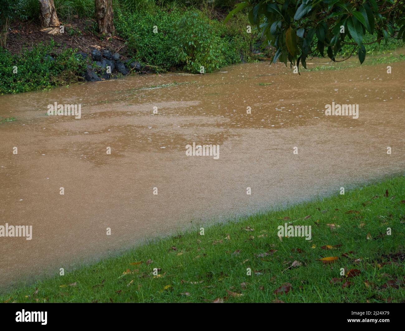 Water everywhere, big rain drops falling splashing into overfull ...