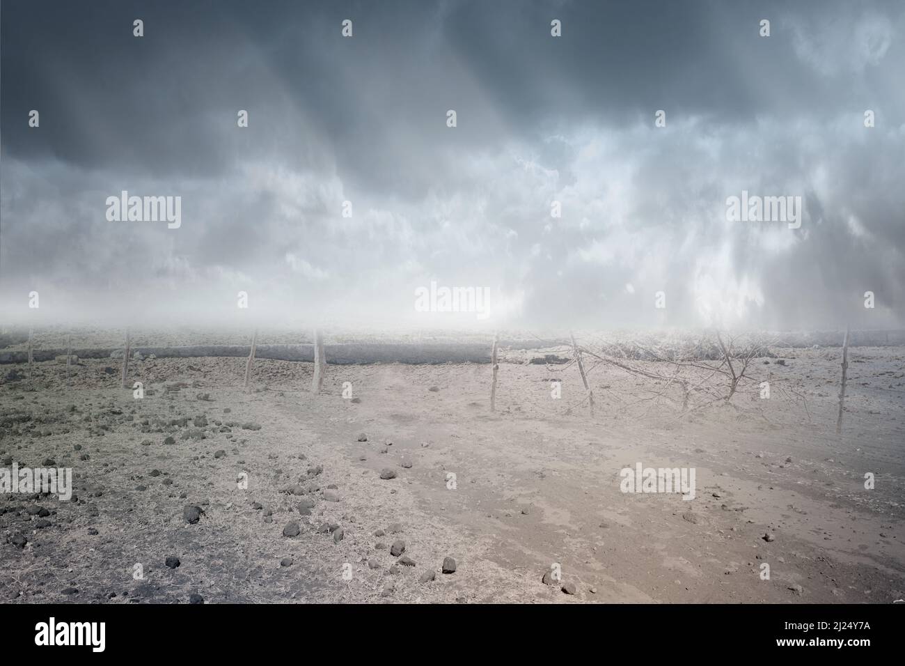 Drought field with a dramatic sky background Stock Photo - Alamy
