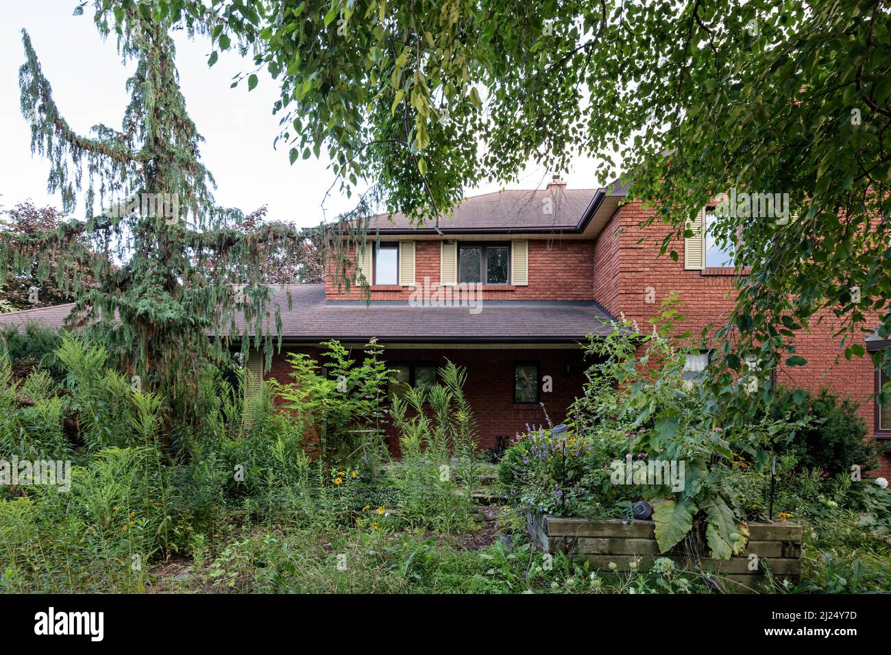 A brick house that is almost completely obscured by overgrowth. This ...