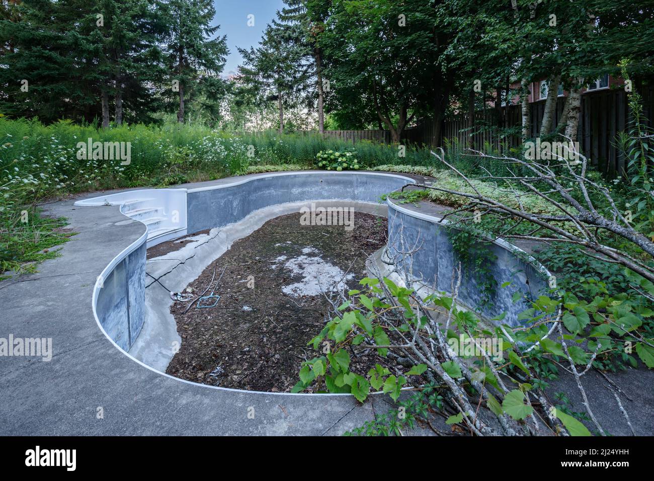 An in ground outdoor swimming pool filled with debris in an overgrown ...