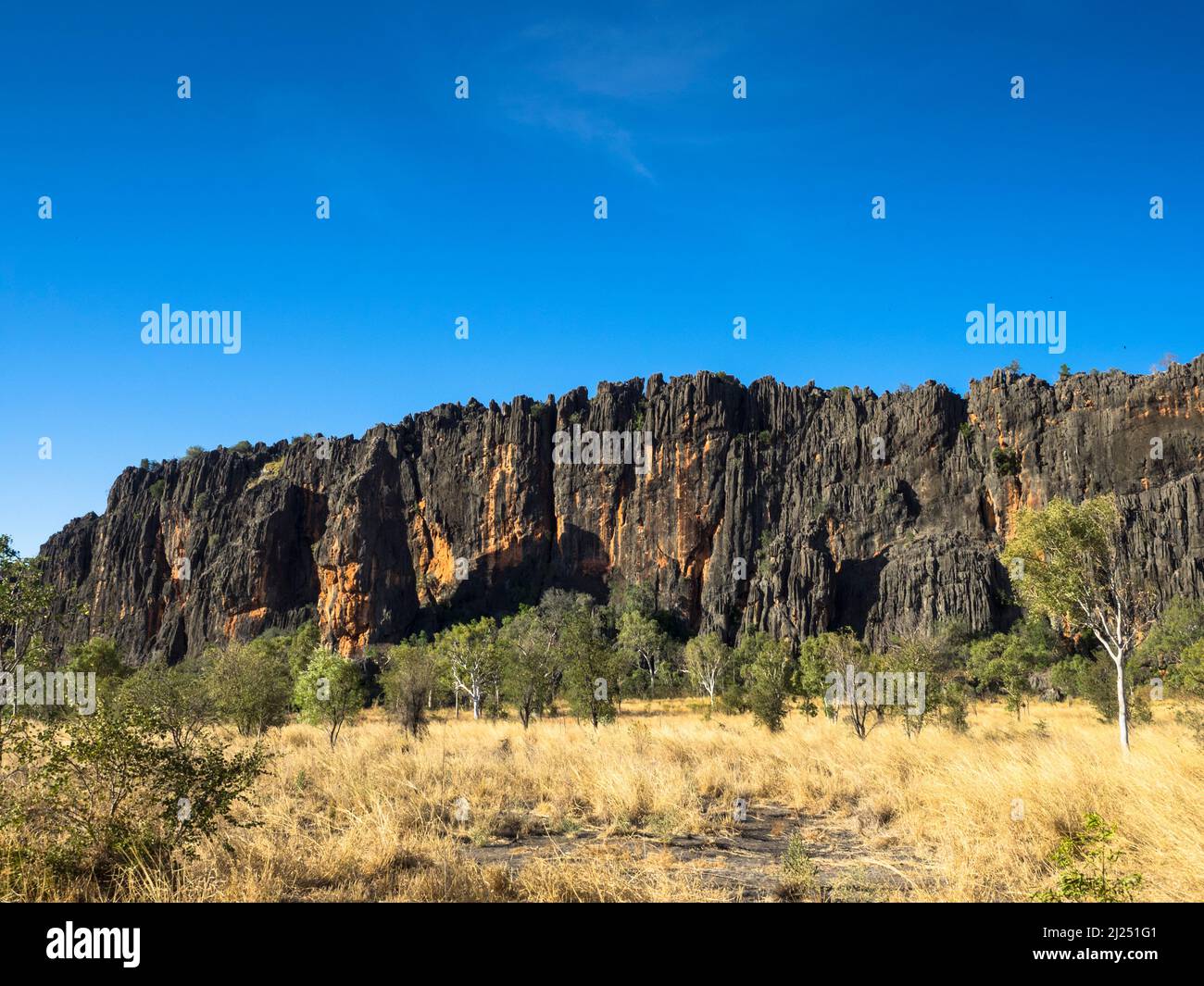 Limestone cliffs of the Napier Range, Windjana Gorge, Bandilngan ...