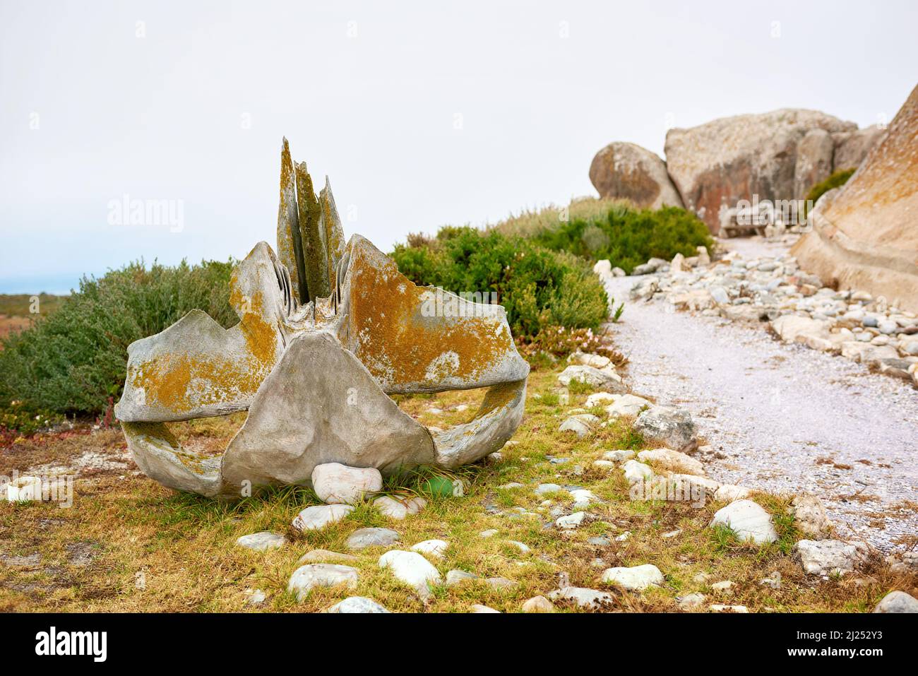 Beautiful nature artwork hi-res stock photography and images - Alamy