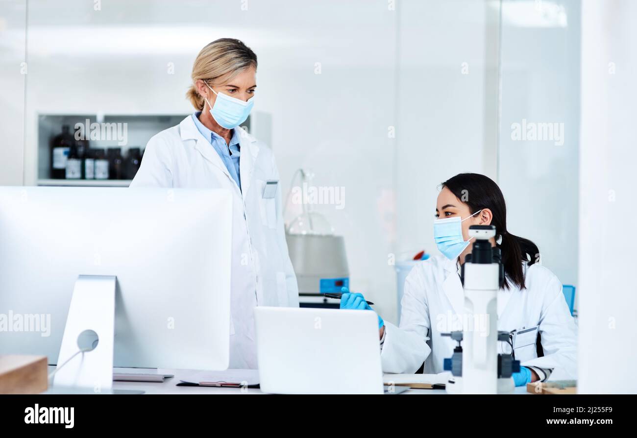 Working on new research. Shot of two scientists working together in a lab Stock Photo - Alamy