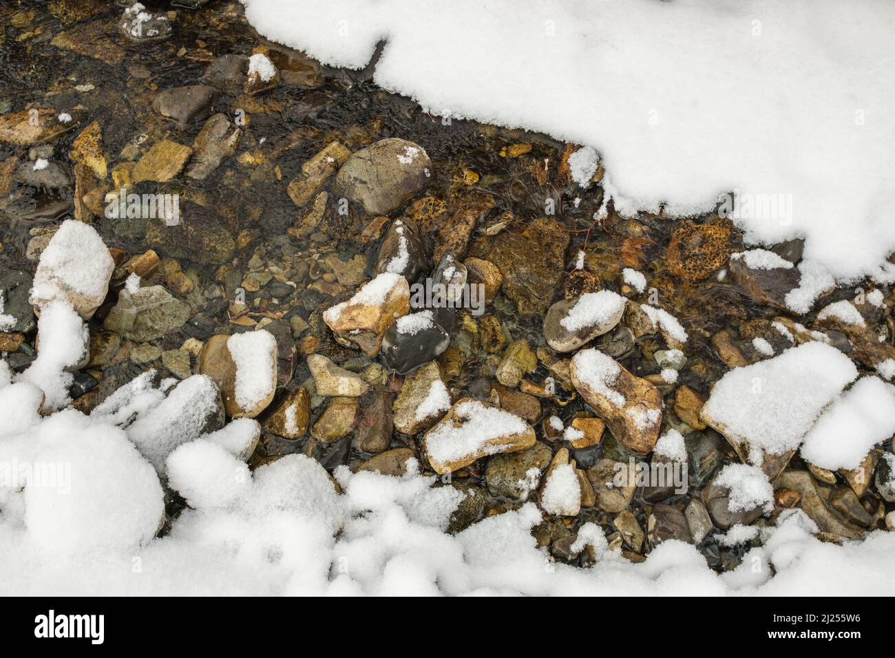 A forest stream in the snow in winter Stock Photo - Alamy