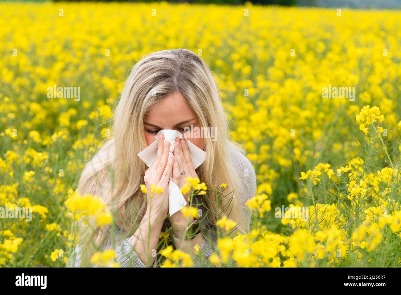 Young woman suffers from allergy, hay fever and pollen in a rape field ... Young woman suffers from allergy, hay fever and pollen in a rape field ...