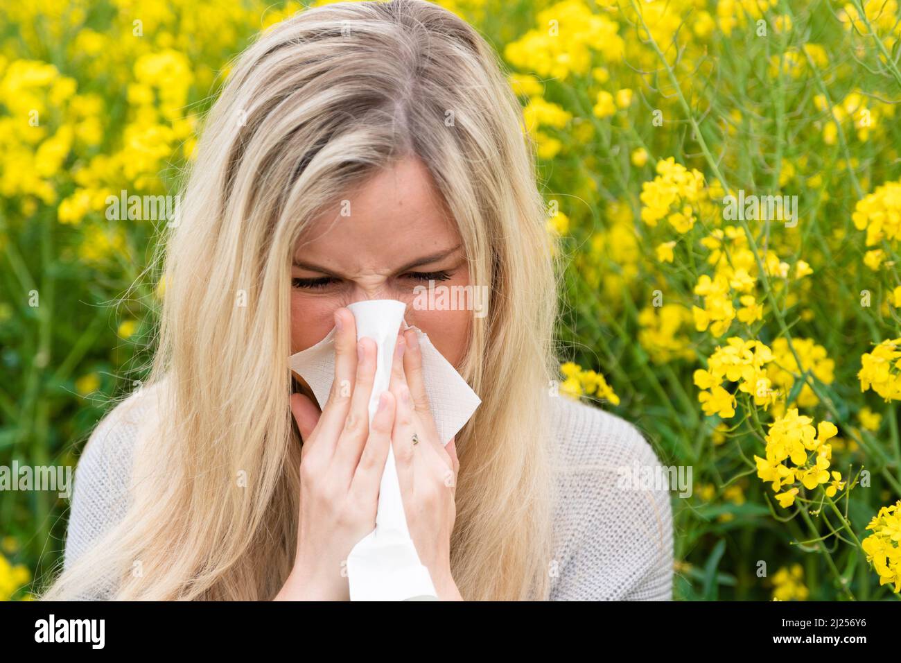 Young woman suffers from allergy, hay fever and pollen in a rape field ... Young woman suffers from allergy, hay fever and pollen in a rape field ...