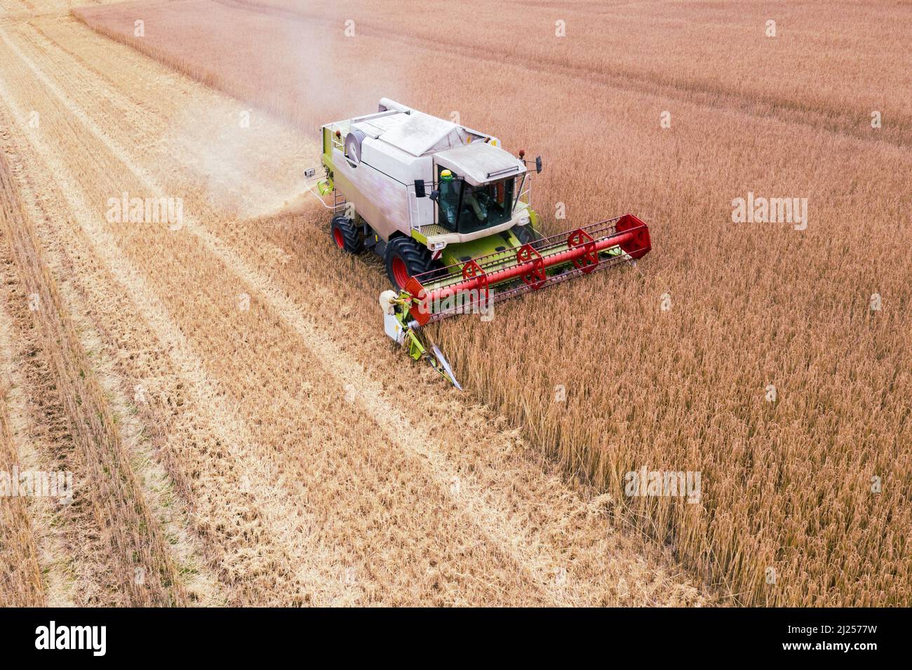 Combine harvester harvesting from above - Ripe wheat in the field ...