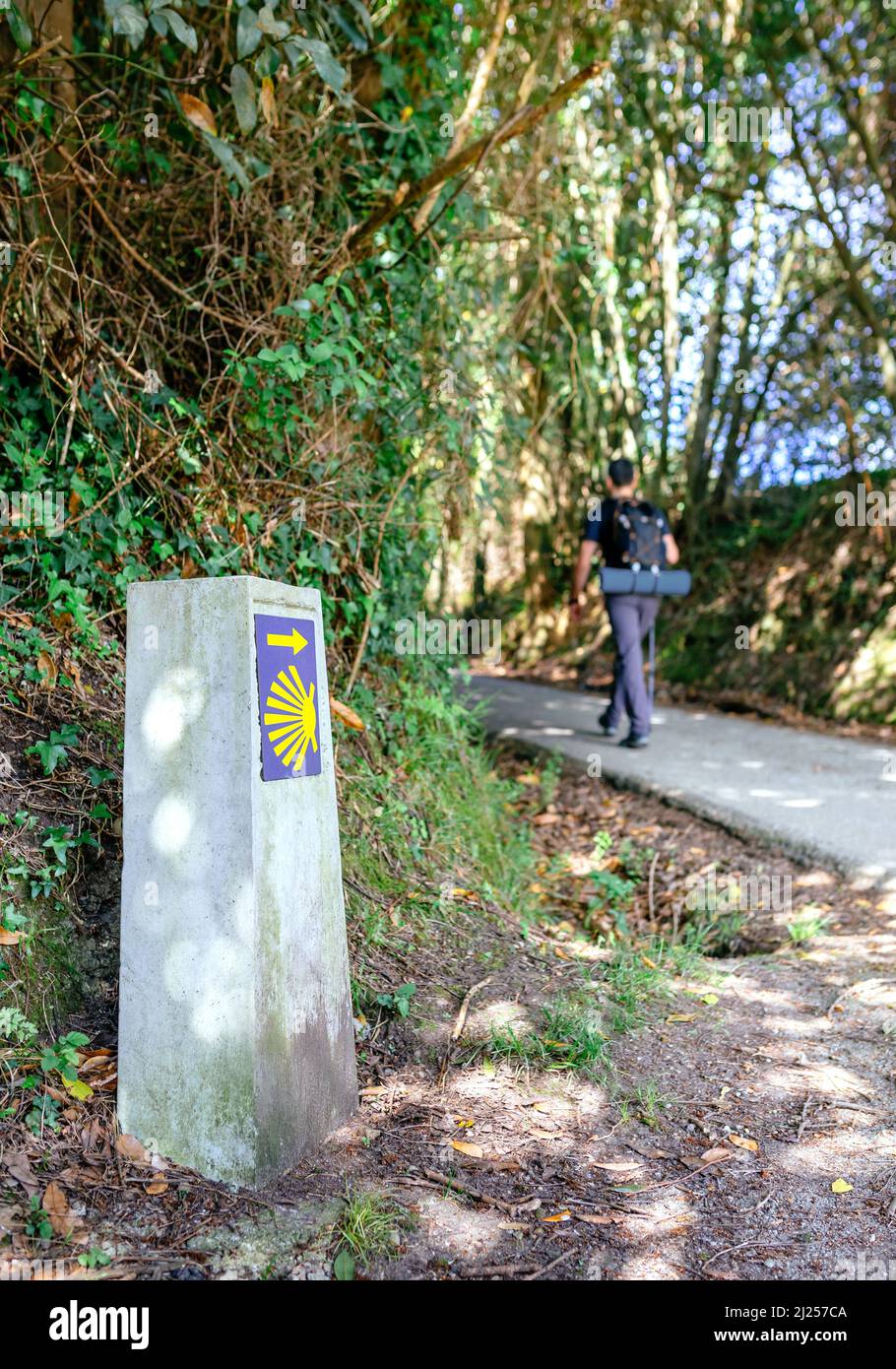 Saint james way hi-res stock photography and images - Alamy