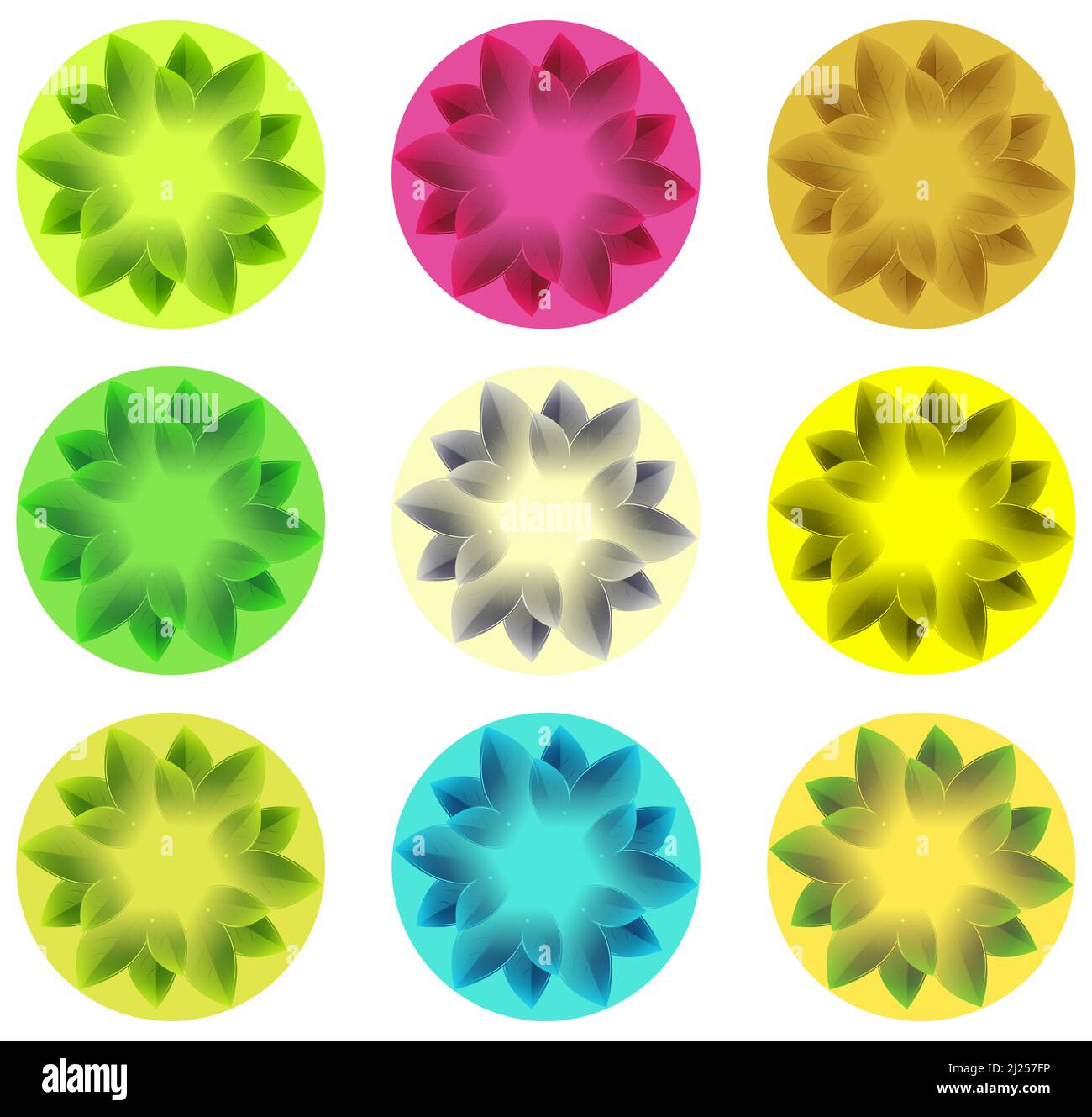 Pink star icon on Stock Vector Images - Alamy