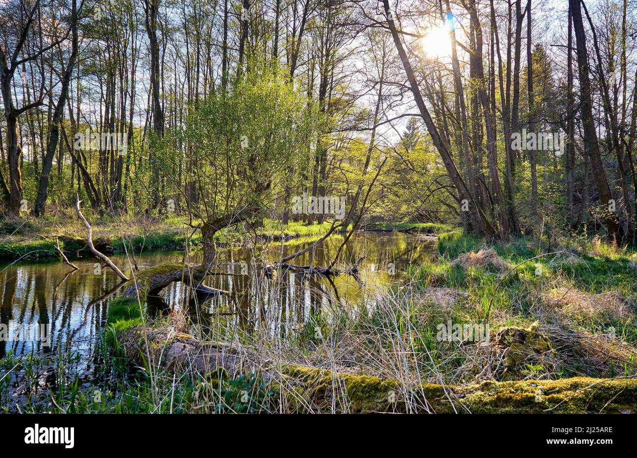 Wild romantic river through hi-res stock photography and images - Alamy