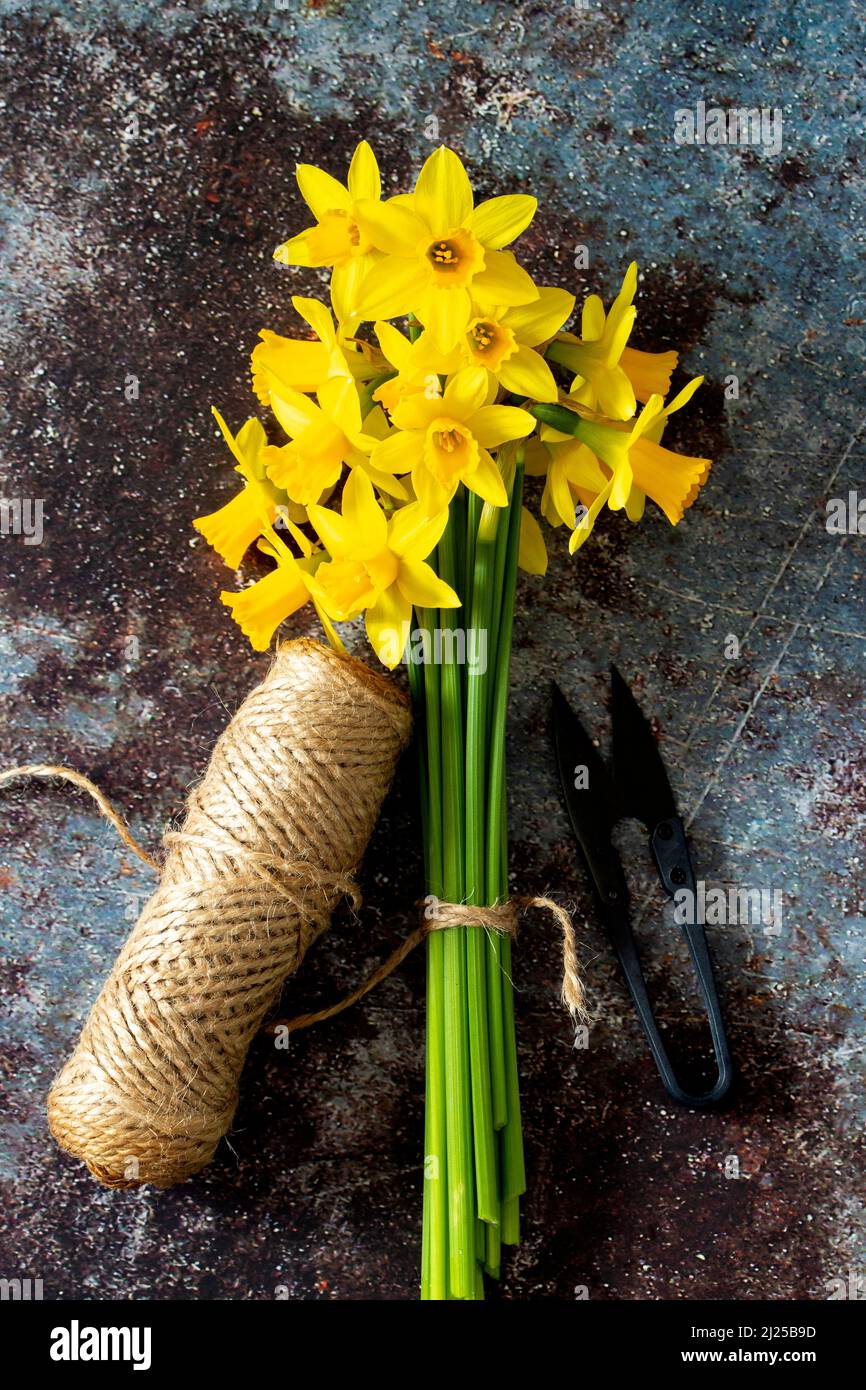 Bunch of daffodils tied with string with cutter on a grunge background ...